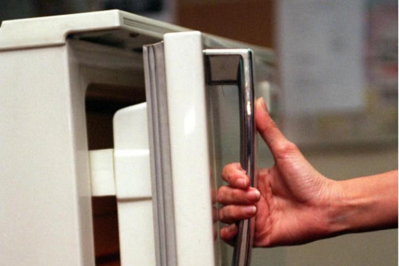 How to clean and purge your fridge, and save energy at the same time ...