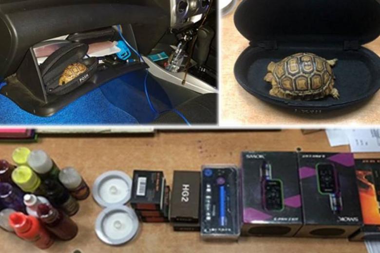 ICA officers uncover leopard tortoise, contraband cigarettes, e ...