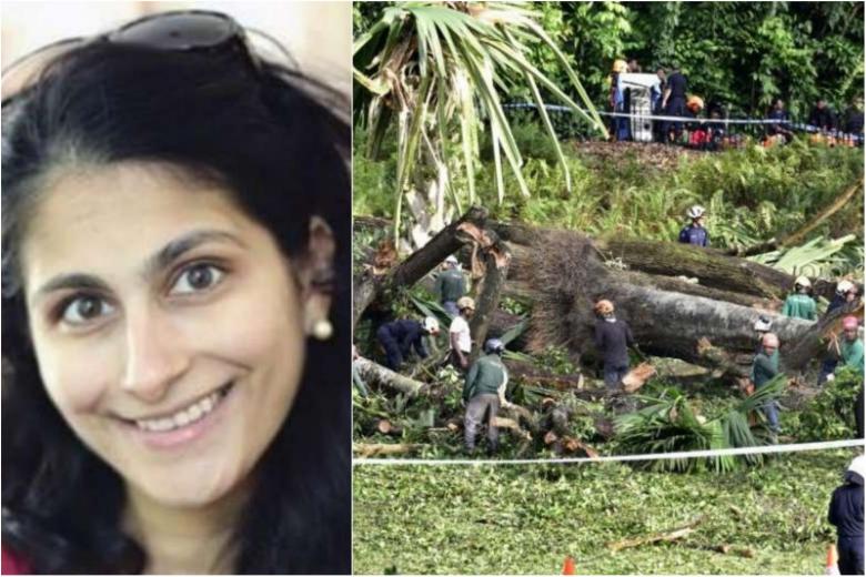 Death of woman killed by falling tree at Botanic Gardens a tragic ...