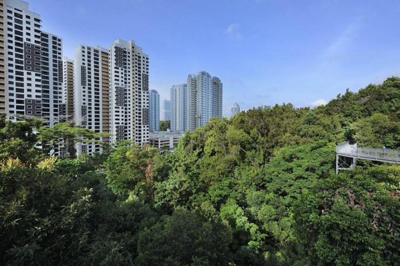 First batch of 1,500 HDB flats in new Tengah estate will be launched in ...