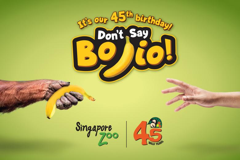 Don’t say ‘bojio’ — all are invited to Singapore Zoo’s 45th birthday ...