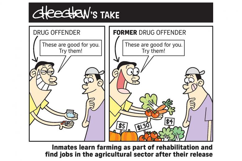 Punchlines: May 28, 2018 | The Straits Times