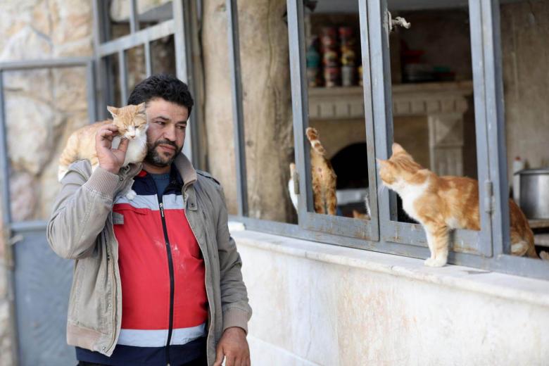 In war-torn Syria, 'cat man' starts rare animal clinic | The Straits Times