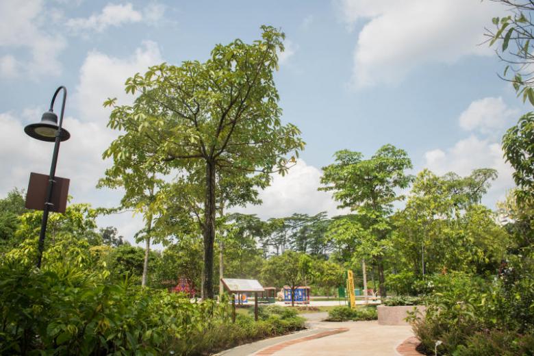NParks to improve efficiency and management of trees under new ...