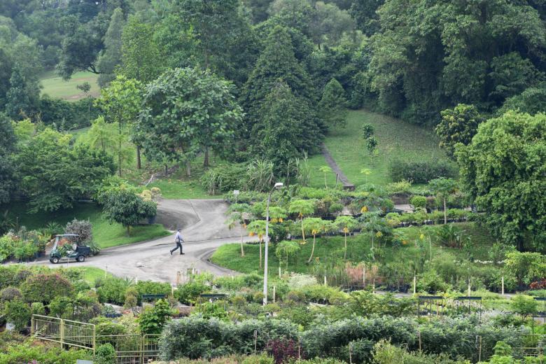 Increased expertise, more holistic overview of flora and fauna for ...