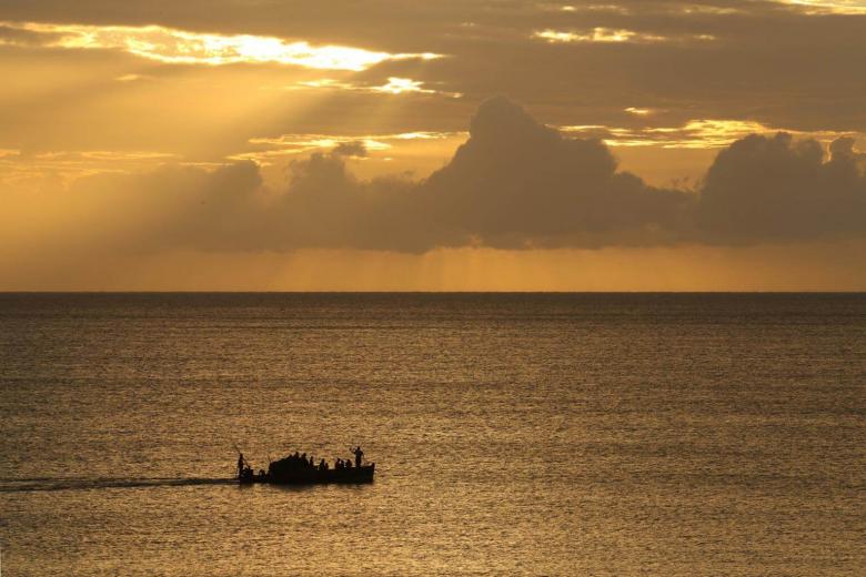 Untouched ocean habitats rapidly shrinking: Study | The Straits Times