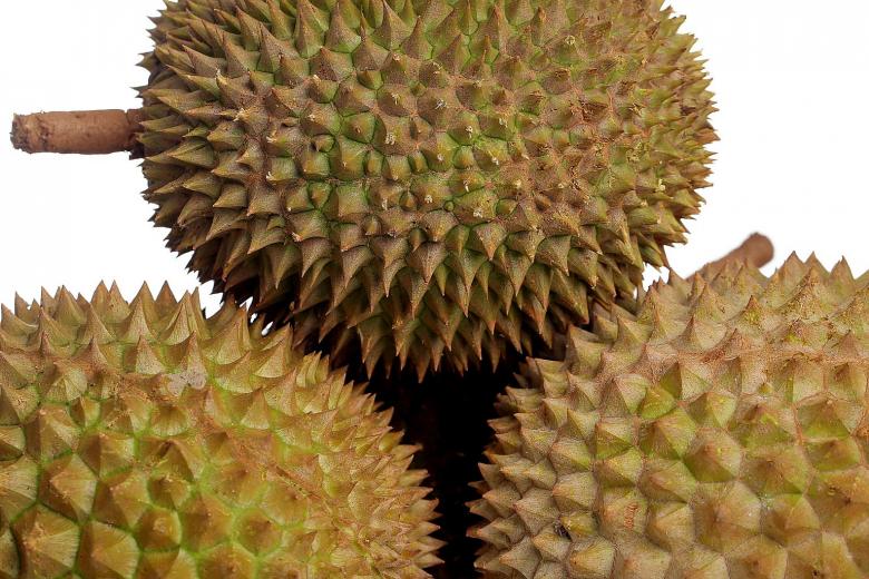 Eat durians on the cheap, as long as you return the seeds at this ...