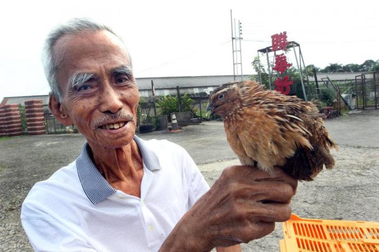 Ho Seng Choon, pioneering poultry farmer, dies at 95 | The Straits Times