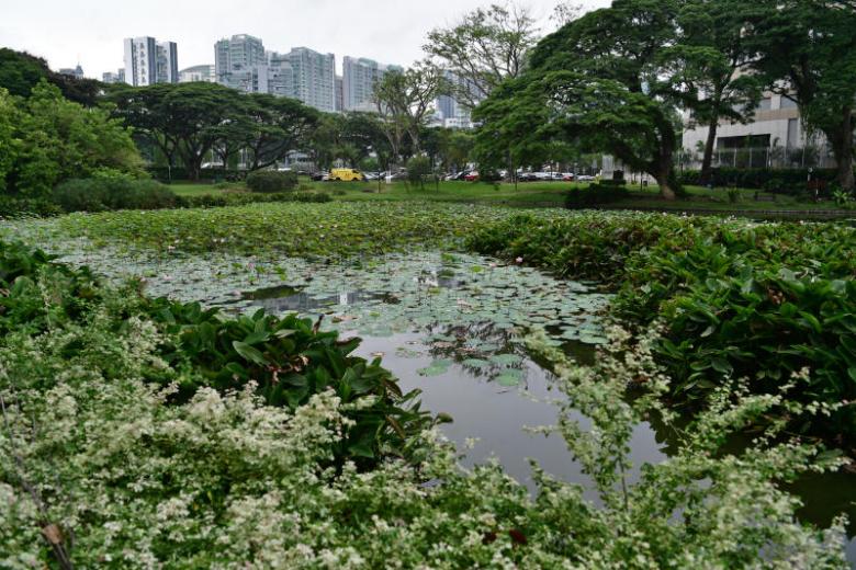 Kampong Java Park beside KKH to close permanently from end-August to ...