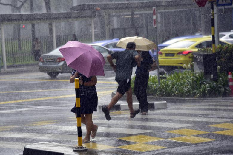 More wet days to come in the next fortnight, says weatherman | The ...