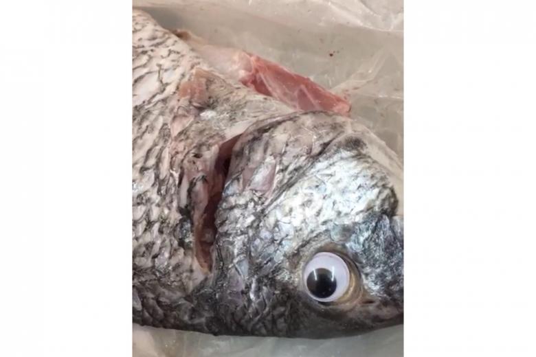 Kuwait store shut down after sticking googly eyes on fish to make them ...