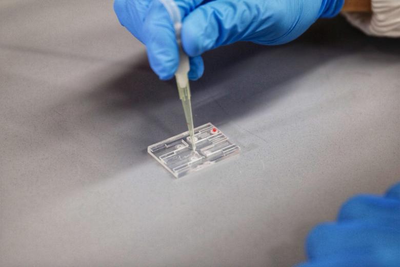 Local researchers create quick screening kit for cervical cancer ...