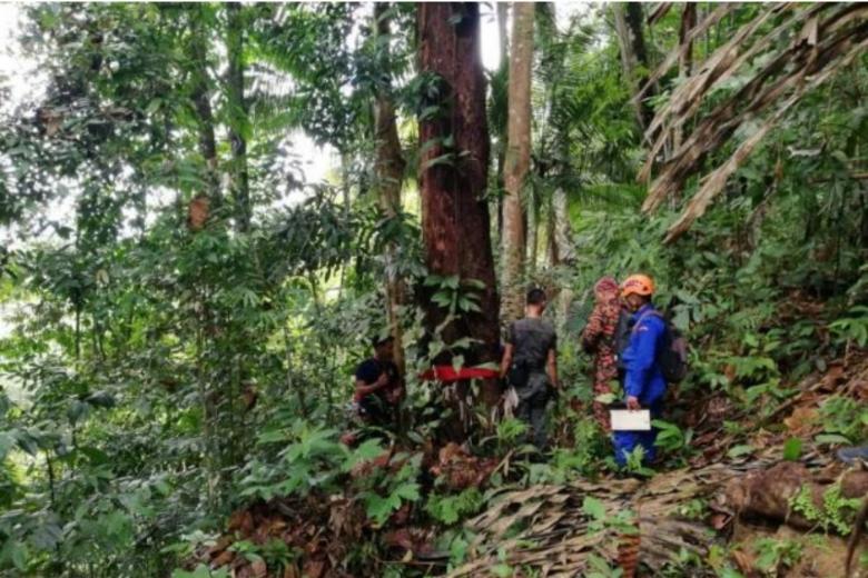 Drones used in massive search operation for lost hiker in Sarawak's ...