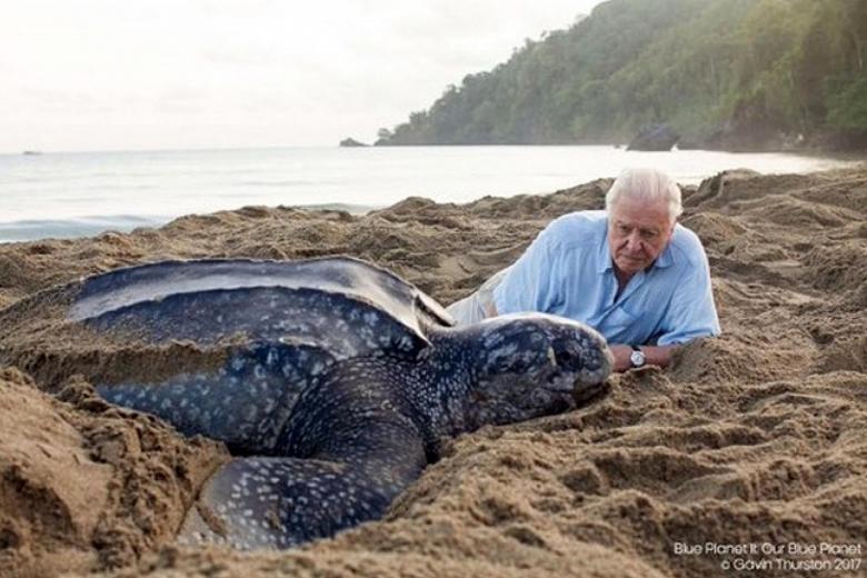 Naturalist David Attenborough urges climate meet to tackle 'greatest ...