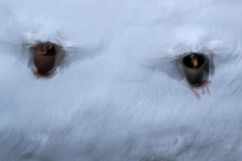 Today in Pictures, Dec 18, 2018 | The Straits Times