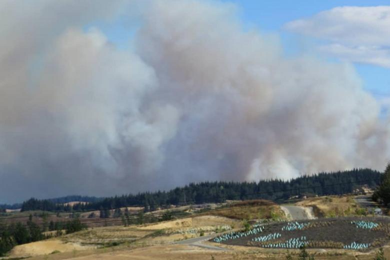 Massive bushfire in New Zealand still 'out of control' | The Straits Times