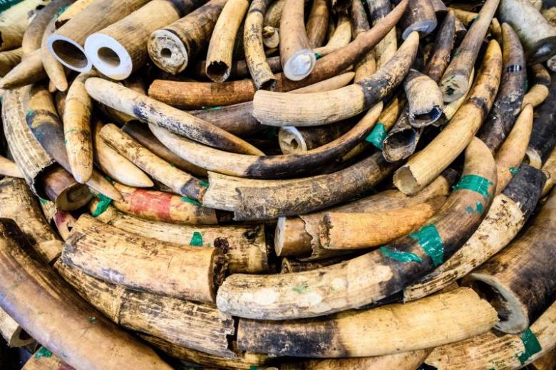 Tanzanian court sentences Chinese 'Ivory Queen' to 15 years' jail for ...