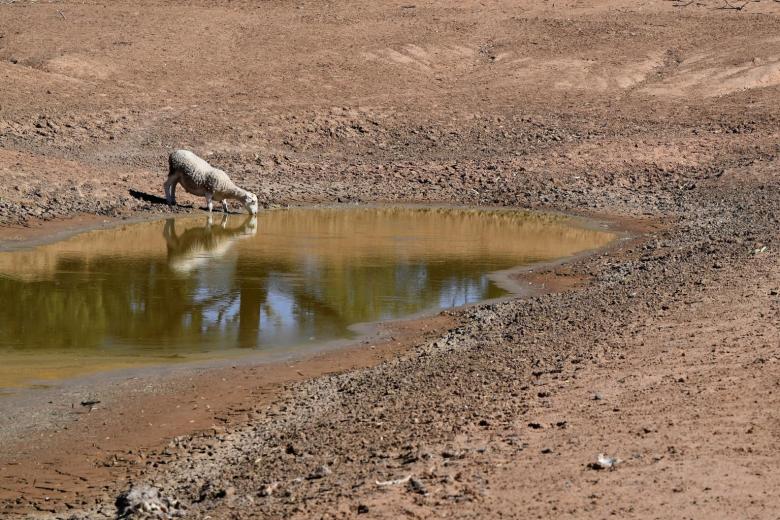 In Pictures: New South Wales in Australia suffering from prolonged ...