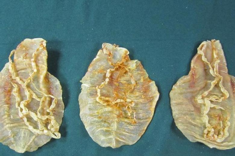 China prosecutes 11 people for smuggling $162 million worth of ...