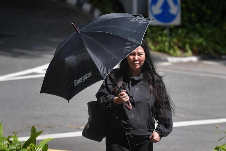 Hour Glass founders' daughter to start 22-month jail term for drug ...