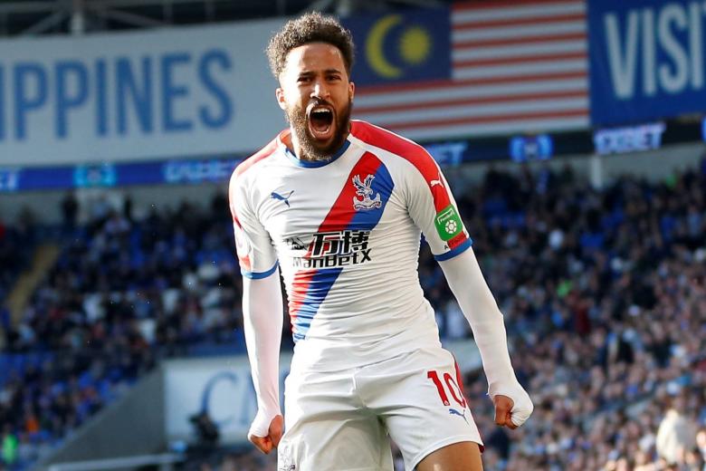 Football: Cardiff relegated from Premier League after Palace defeat ...