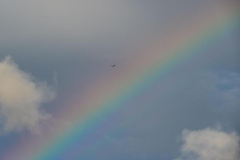 Today In Pictures May 13 2019 The Straits Times