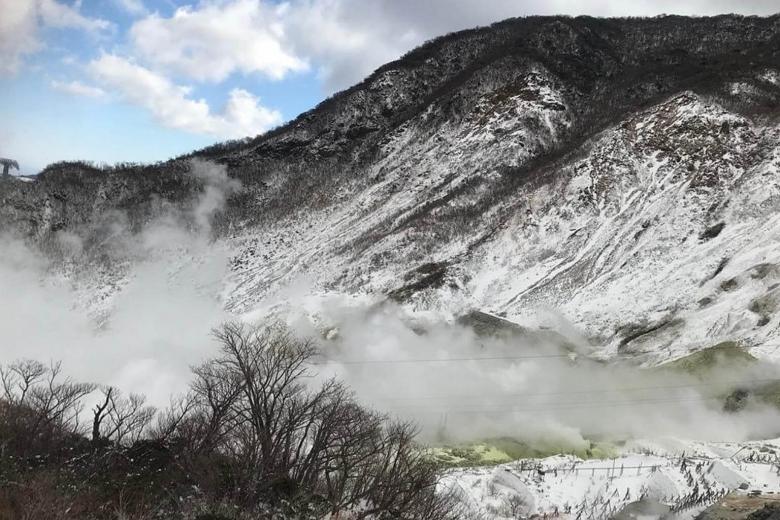 Volcanic alert level raised for Mount Hakone near Tokyo | The Straits Times