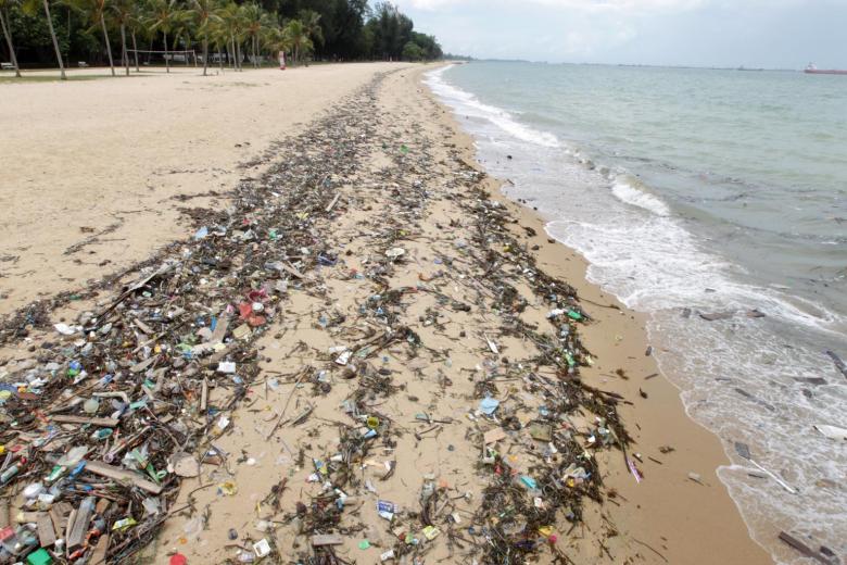 Long stretch of trash found along beach at East Coast Park | The ...