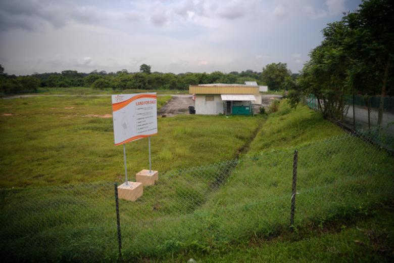 10 land parcels for food farming in Lim Chu Kang up for sale by public ...