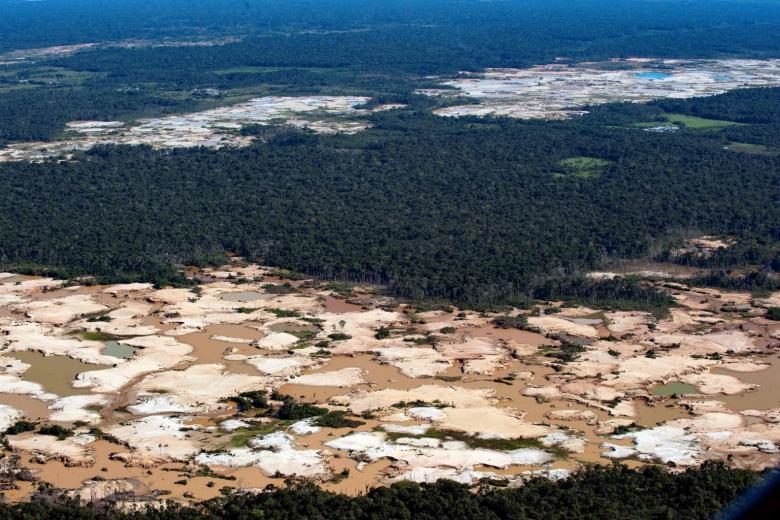 Most big companies fail to report role in deforestation, charity says ...