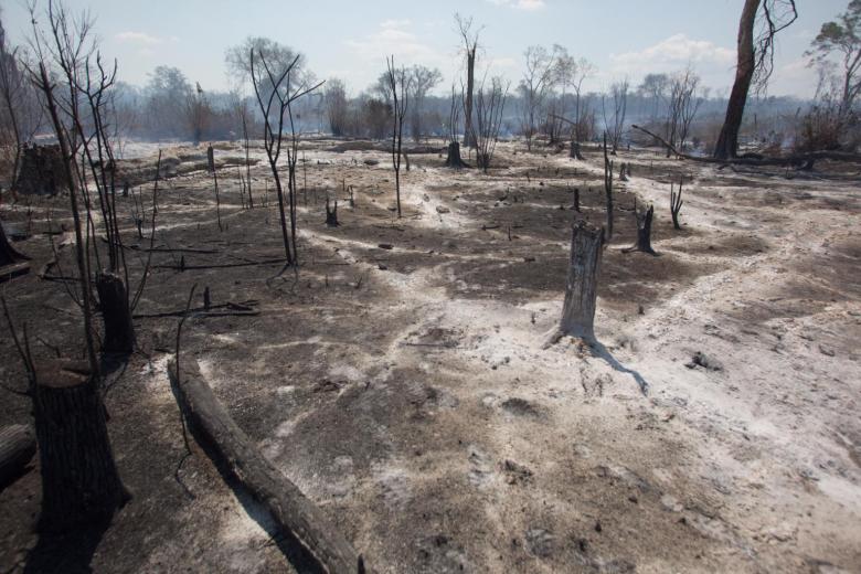 Bolivia lost 1.2 mn hectares to fires this year, govt says | The ...