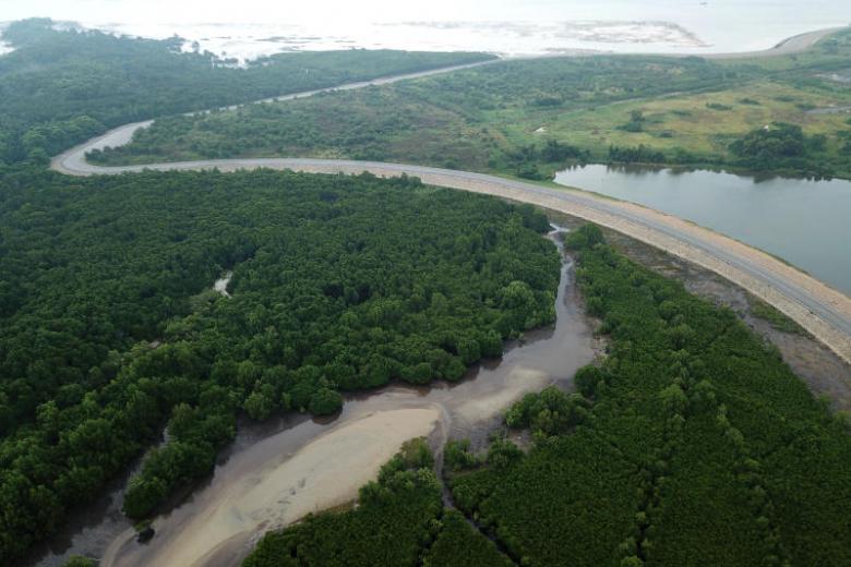 Parliament: Turning Pulau Semakau into a 'treasure island' possible ...