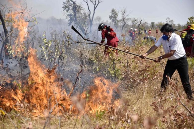Bolivia has lost 1.7 million hectares to fire, government says | The ...