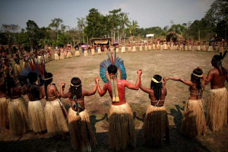 Indigenous tribes in Brazil fear hard year ahead after Amazon fires ...