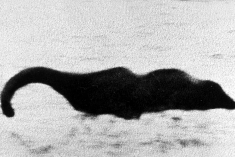 Loch Ness monster might just be a giant eel, say scientists | The ...
