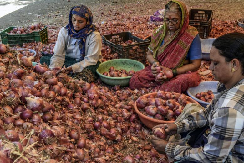 Onion prices bring tears to the eyes of Indian consumers | The Straits ...