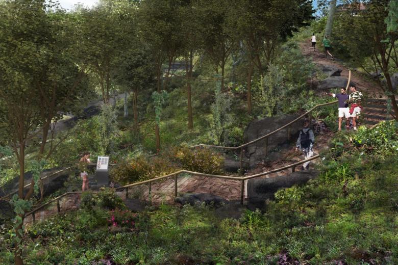 New 350m ridge walk opens in Botanic Gardens, as part of 8ha extension ...