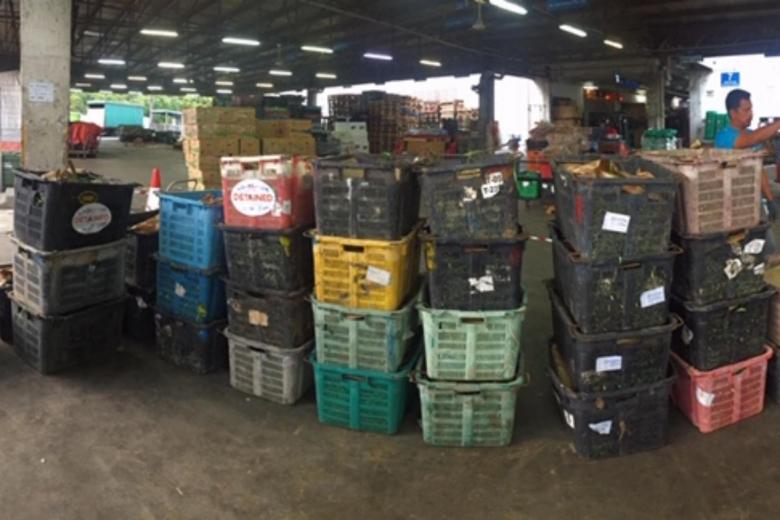 9 importers fined $24,200 for illegally importing fresh vegetables and ...