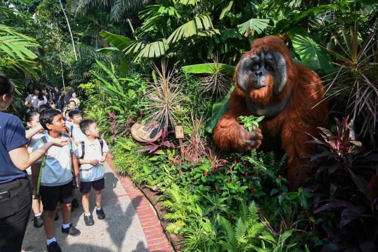 Singapore Zoo to open animatronic installation from Nov 16 to educate ...