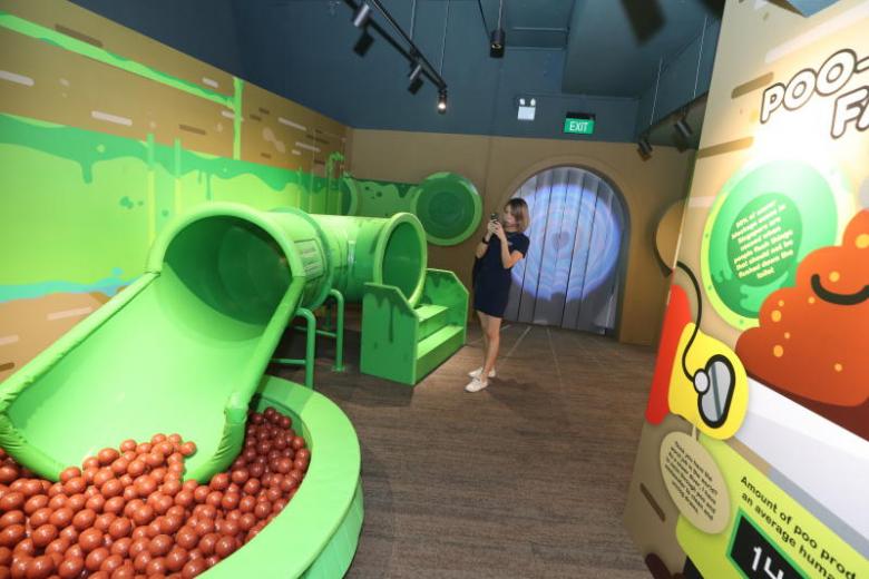 Poo takes the spotlight at Science Centre for World Toilet Day - and it ...