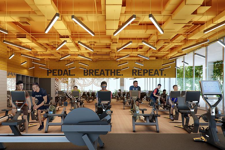 Upcoming NS Hub will be open to public, with outdoor fitness areas ...