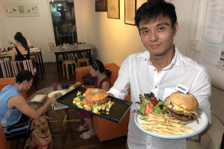 Gourmet dining for pets and their humans at pet-friendly cafes | The ...
