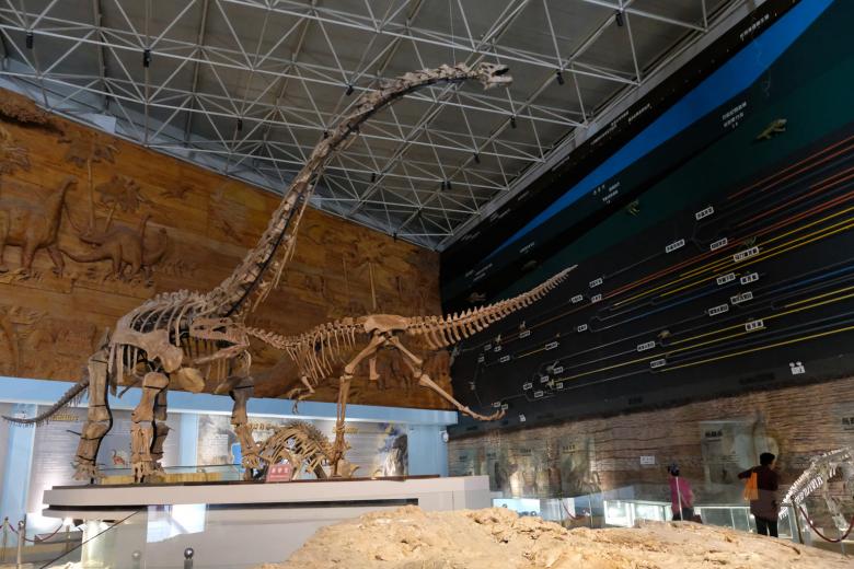 Tussle over fossils in China | The Straits Times