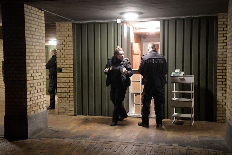 Danish police arrest 20 in raids to thwart suspected Islamist attack ...