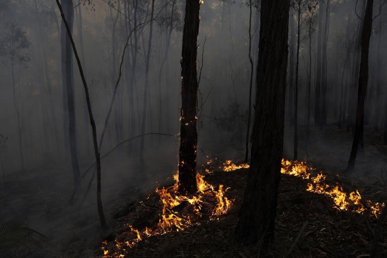 Australia bush fires contribute to big rise in global CO2 levels: UK's ...
