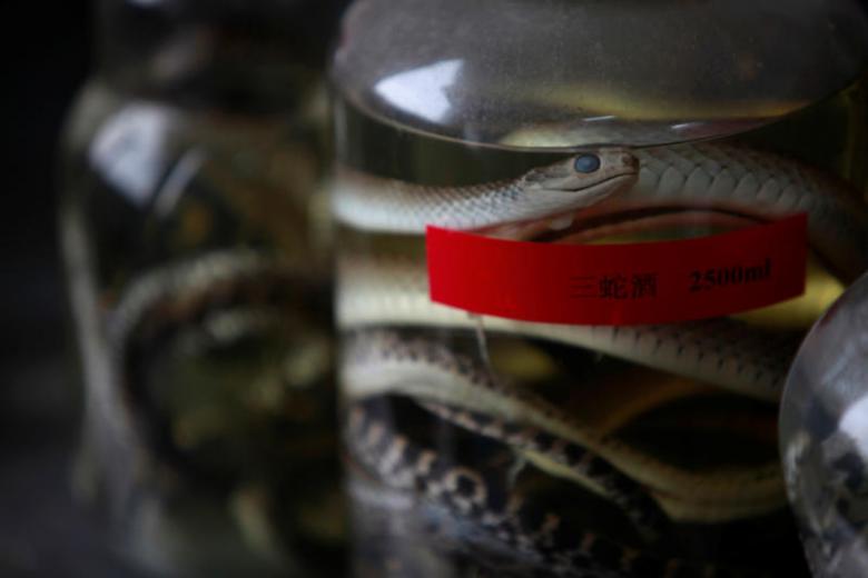 China's snake village scales down operations as coronavirus prompts ...