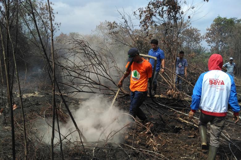 Keep a close eye on fire and deforestation alerts during current dry ...
