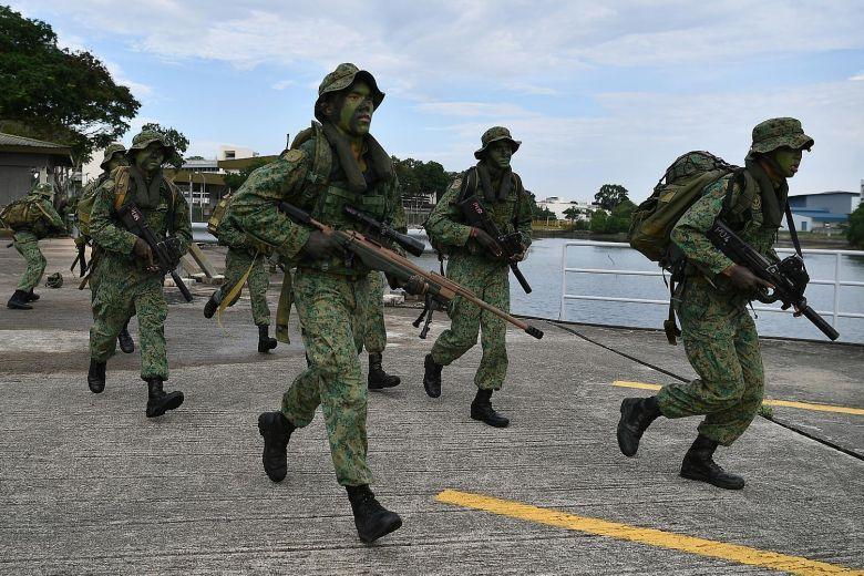 Significant improvement in SAF training safety since Inspector-General ...