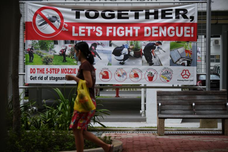 Dengue infections continue to rise, with more than 17,000 people ...