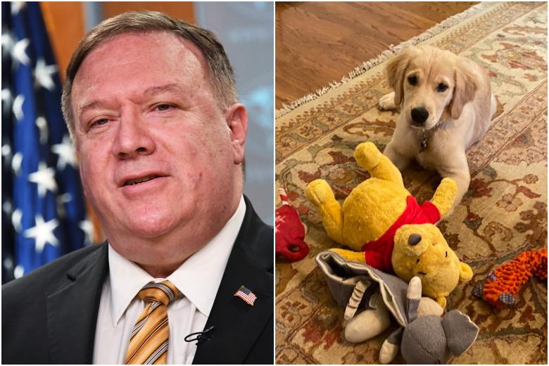 Bearing no malice: Pompeo denies Pooh-poohing Xi | The Straits Times
